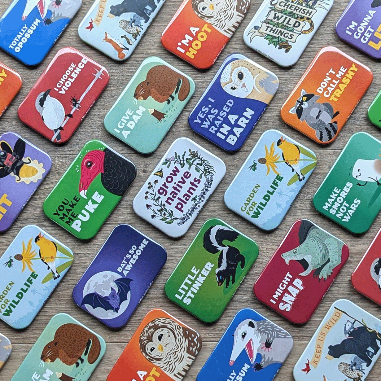 Magnets – Blue Aster Studio