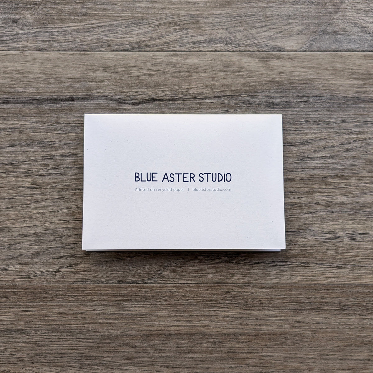 Opossum Family Stationery Pack – Blue Aster Studio