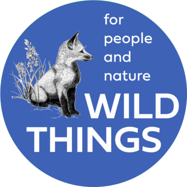 Wild Things Conference – Blue Aster Studio