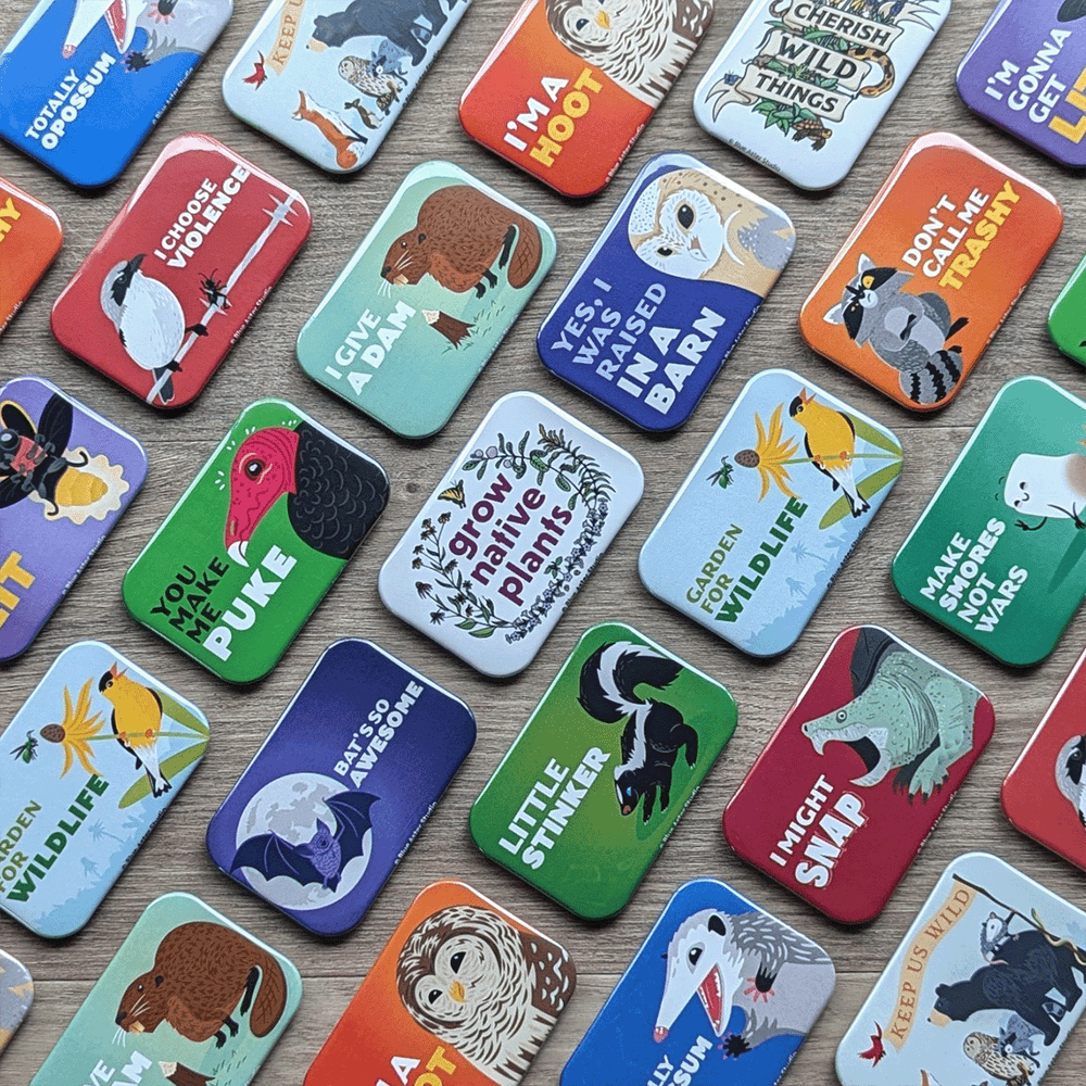 Blue Aster Studio | Nature-themed artwork and gifts