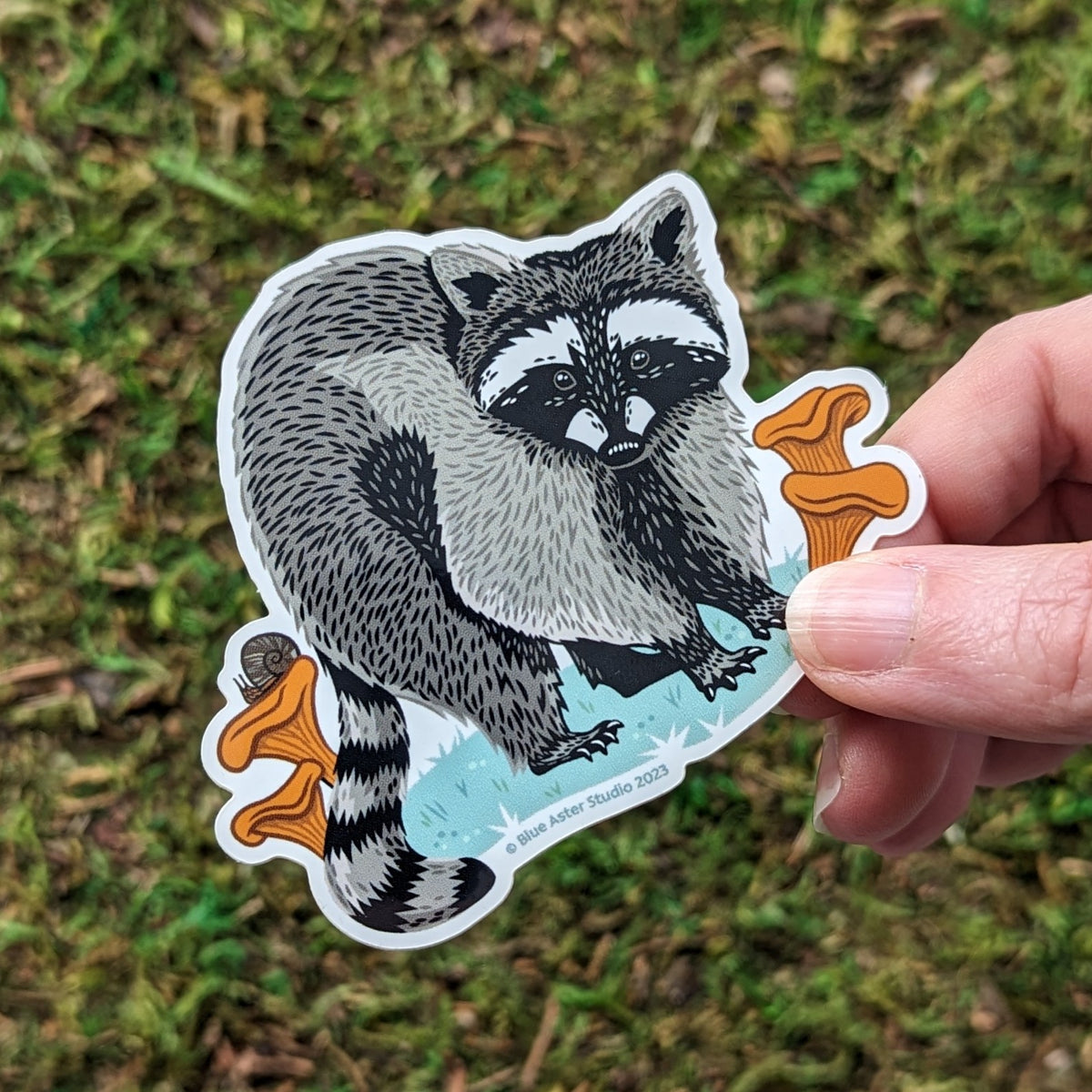 Raccoon Sticker – Blue Aster Studio