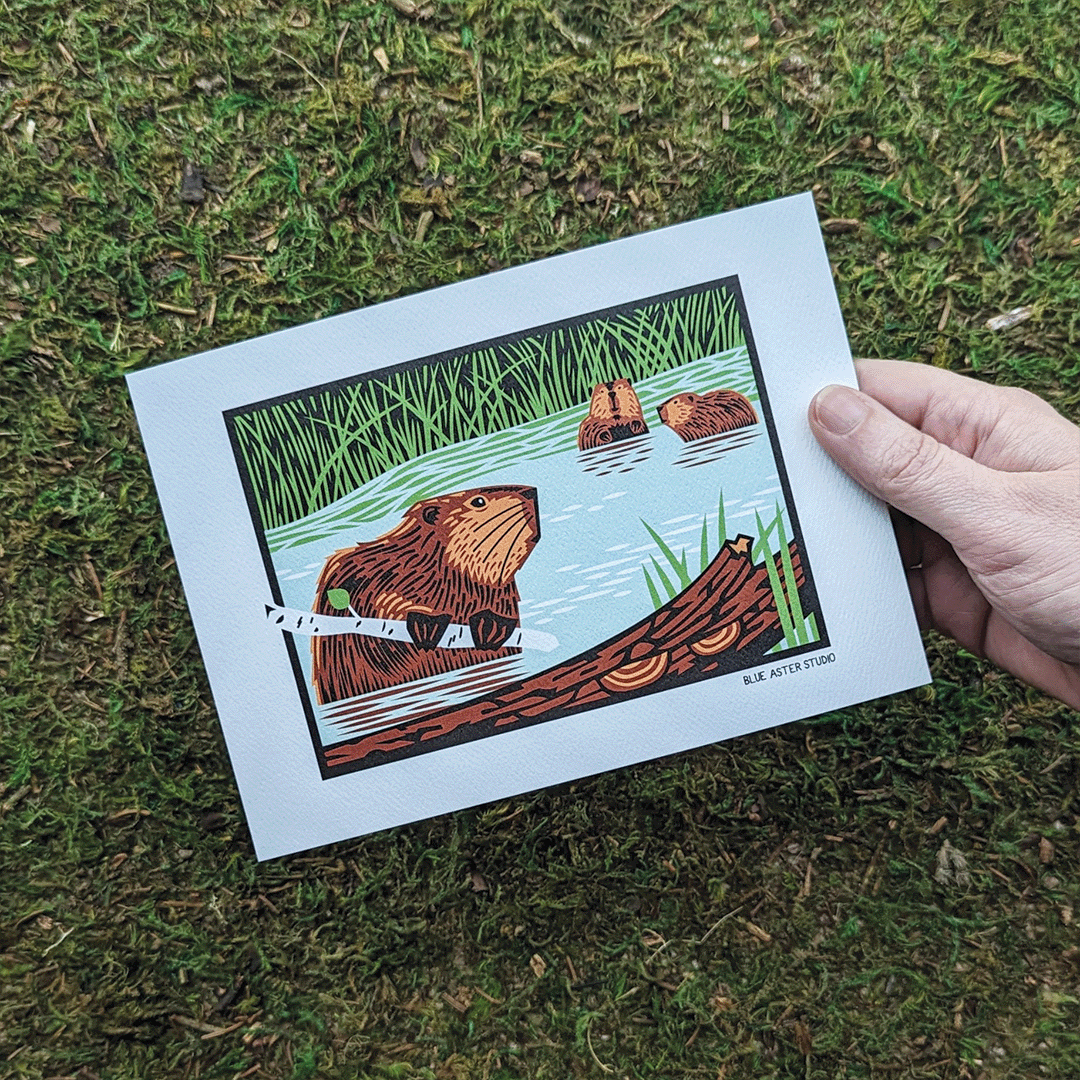 Beaver Art Print – Blue Aster Studio