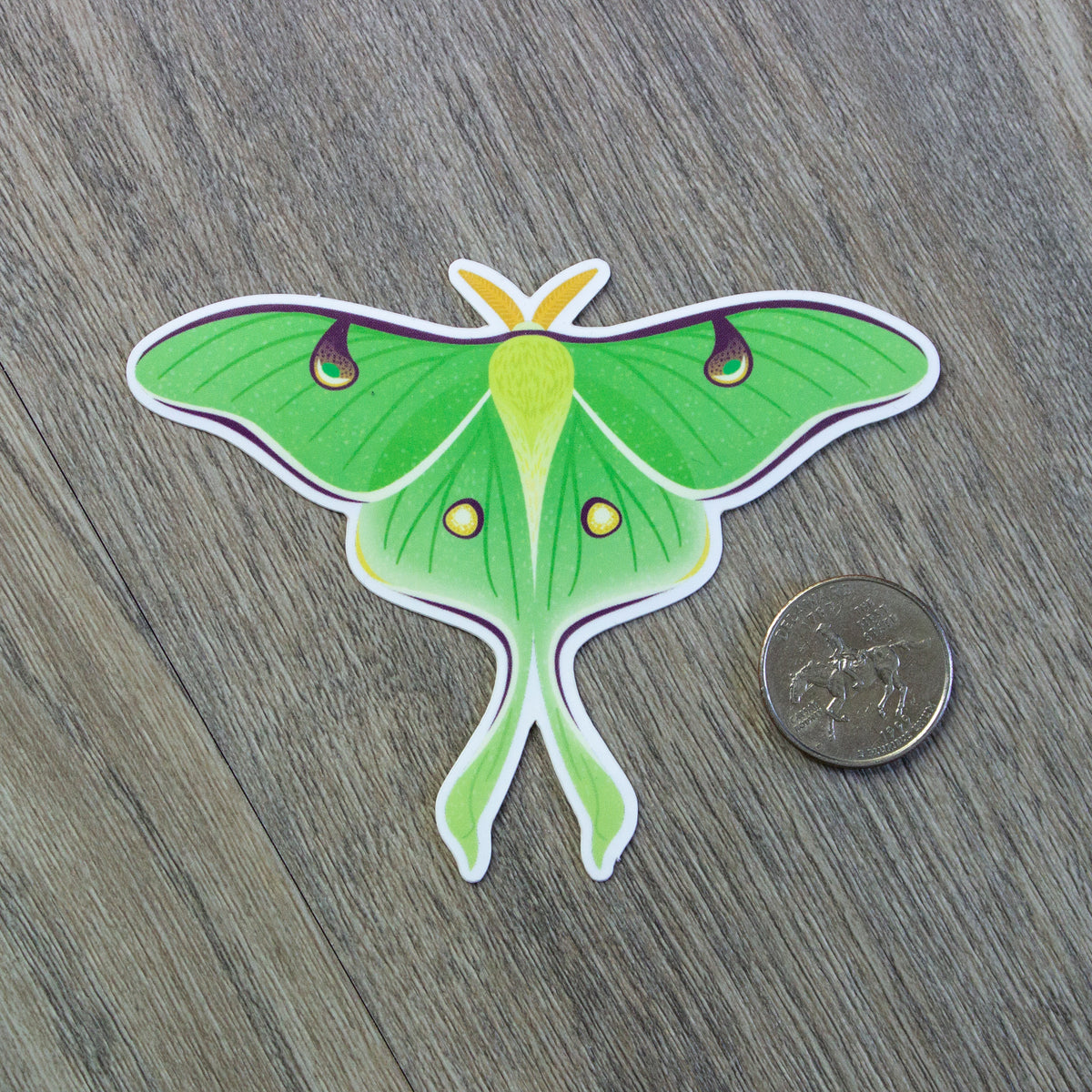 Luna Moth Sticker – Blue Aster Studio