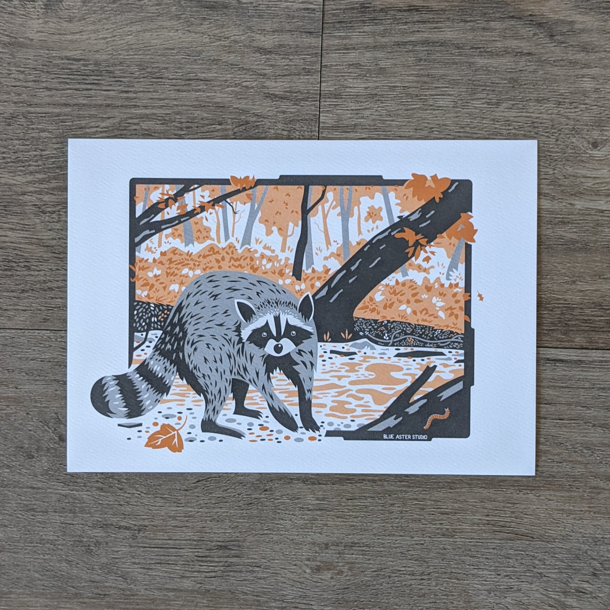 Raccoon Art Print – Blue Aster Studio