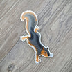 Squirrel Sticker – Blue Aster Studio